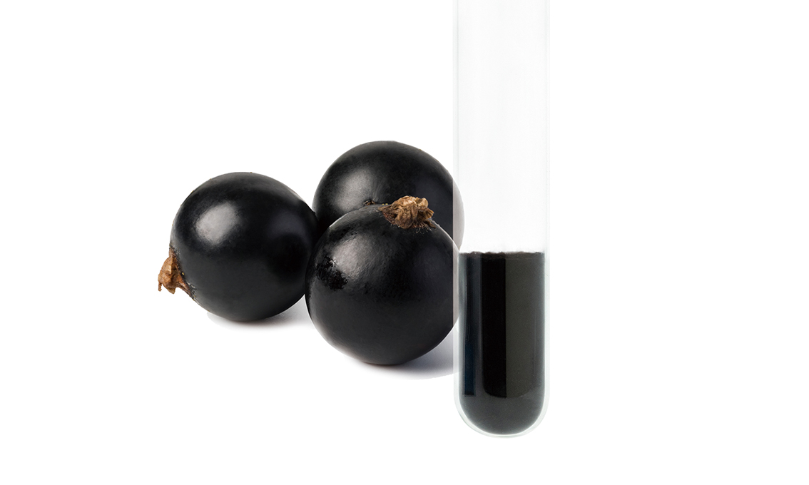 Botanical Extracts Manufacturers - China Botanical Extracts Factory ...