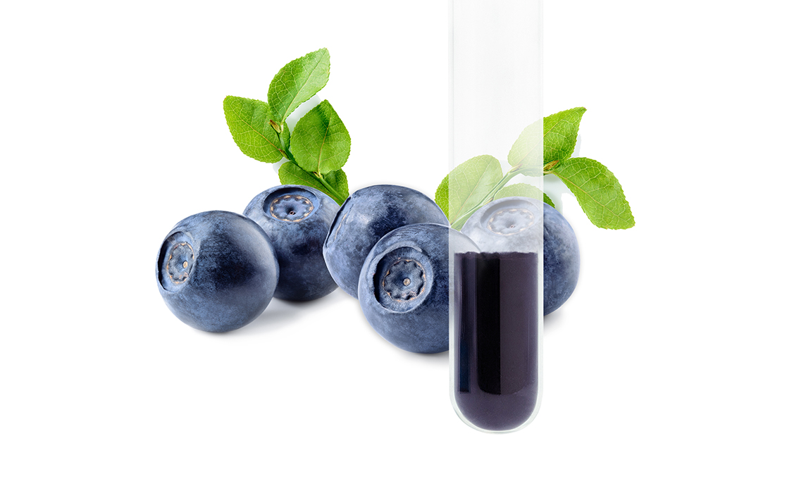 Wholesale Bilberry Extract Manufacturer and Supplier | Huisong